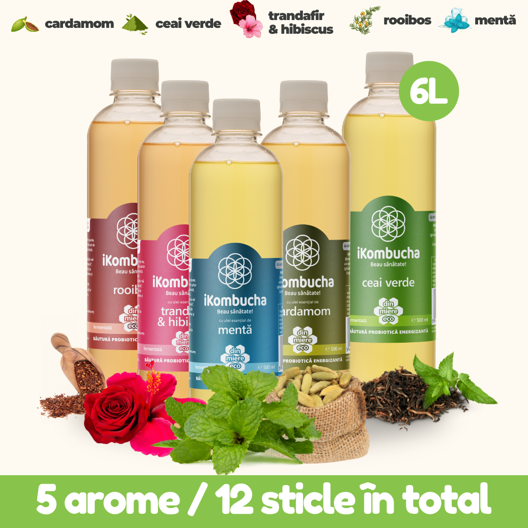 Ceai Kombucha | iKombucha - Beau Sanatate