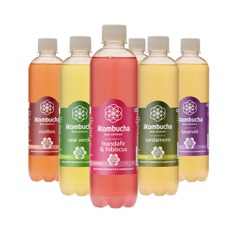 Ceai Kombucha | iKombucha - Beau Sanatate