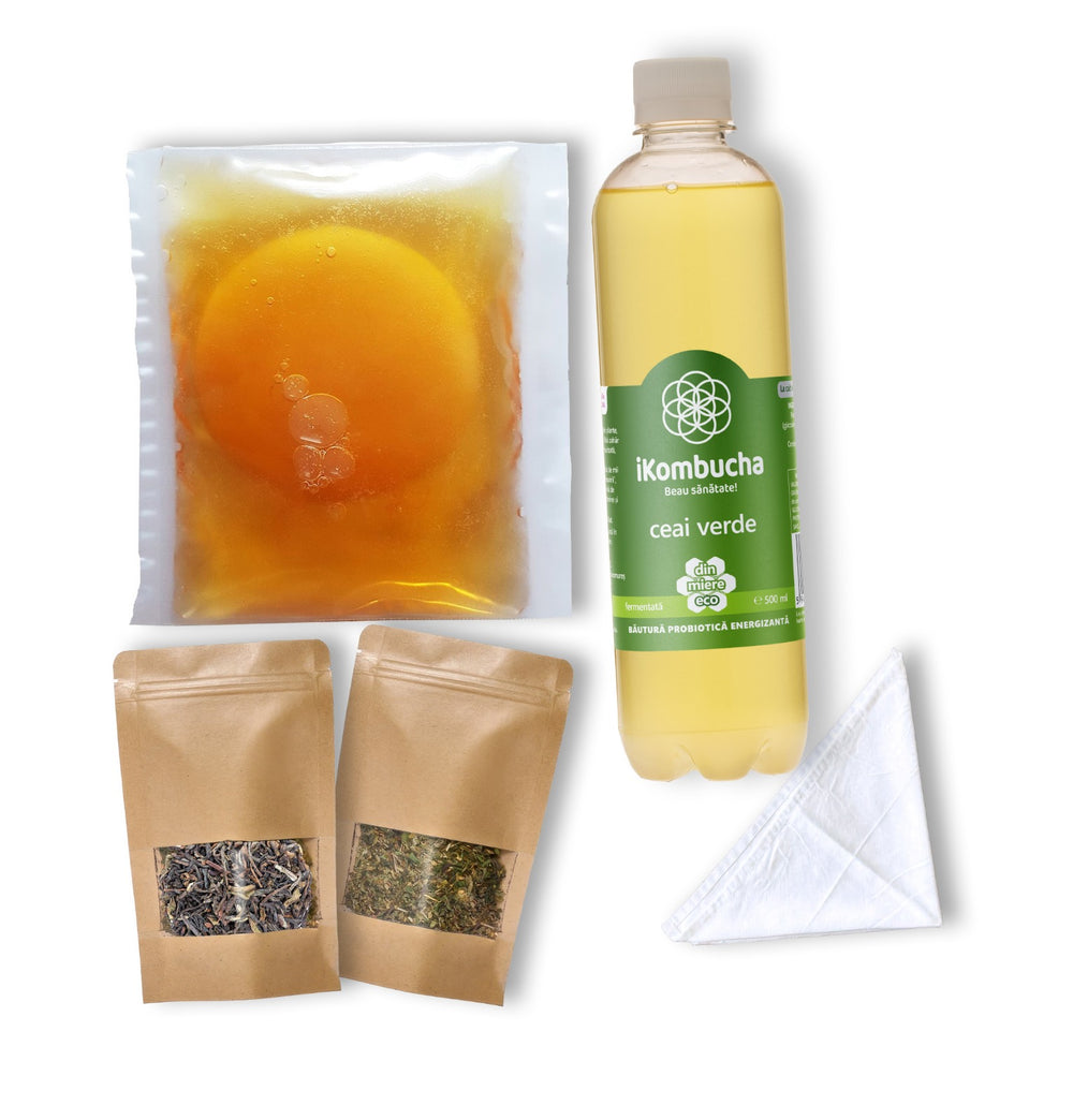 Ciuperca Kombucha - Kit pentru Preparare Acasa – iKombucha - Beau Sanatate