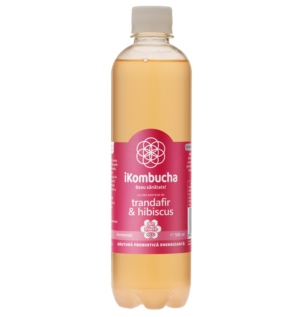 Ceai Kombucha | iKombucha - Beau Sanatate